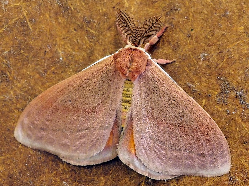 Retket | Tuomon kuva ja sana